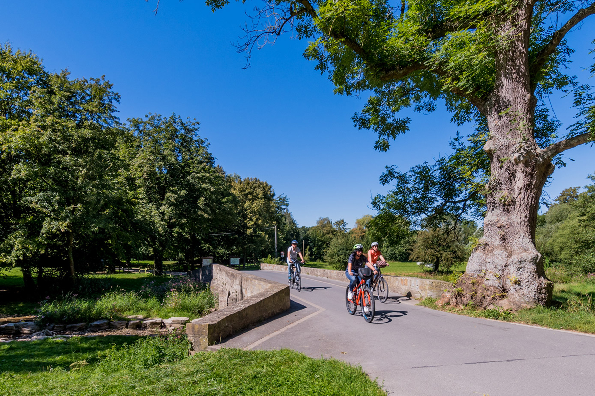 Luxus Schonster Radweg Im Alten Land Bild
